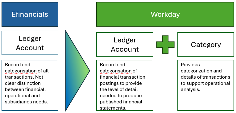 About the Workday FDM