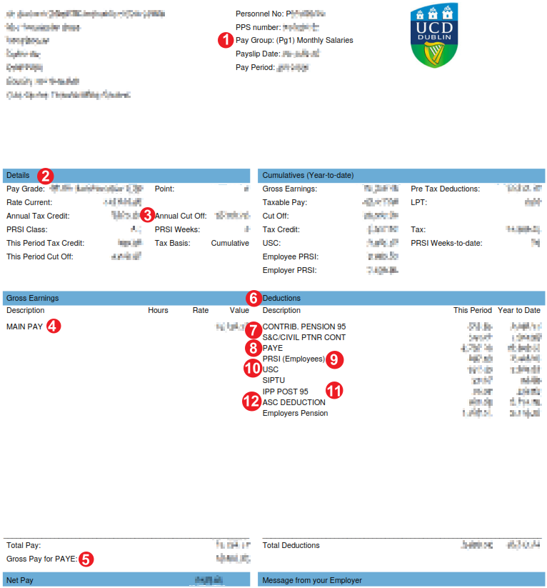 Viewing and understanding my Payslip